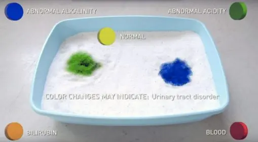 Getting to Know Pretty Litter™, The Health-Monitoring Cat Litter ...