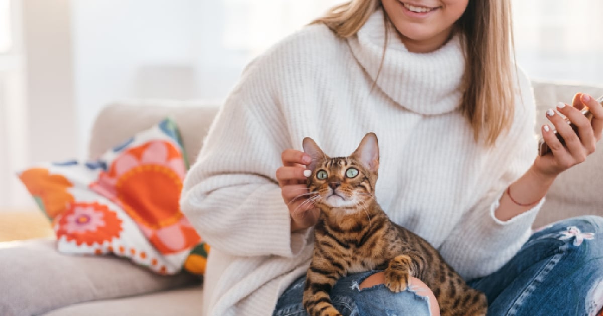 10 Reasons Why Being A "Crazy Cat Person" Is A Good Thing | Bengalcats.co